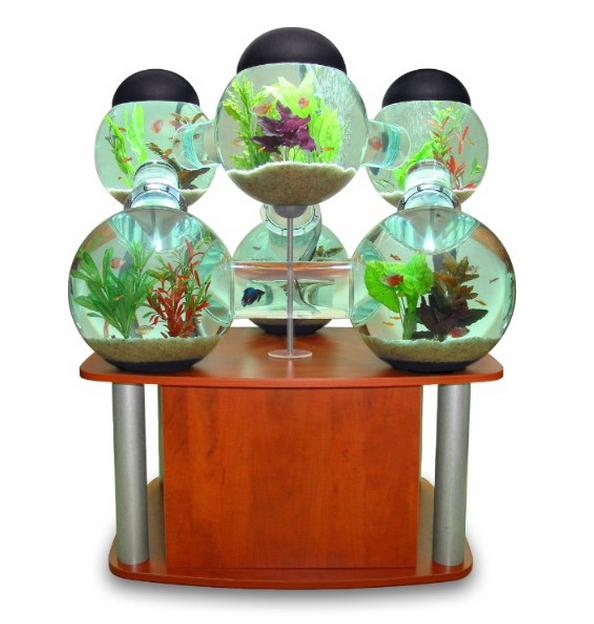 The Disneyland of Fish Tanks - The Gadgeteer