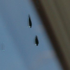 Ionic Clean Washing System Review - The Gadgeteer