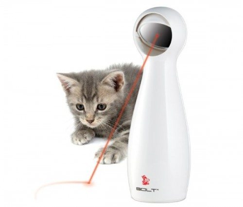 FroliCat Toys Reviews - The Gadgeteer