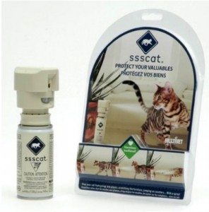 Innotek SSSCAT Cat Training Aid - The Gadgeteer