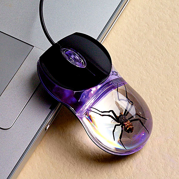 Friendly Neighbor Spider Mouse - The Gadgeteer