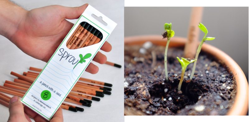 Plant your pencil stub and watch it grow! - The Gadgeteer