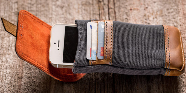 Micro Field Bag for iPhone - The Gadgeteer