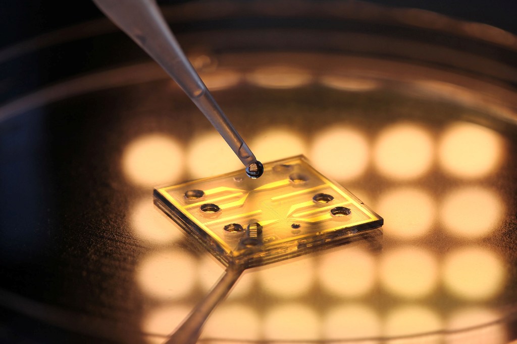 New Biosensor Allows For Immediate Detection Of Contaminated Drinking