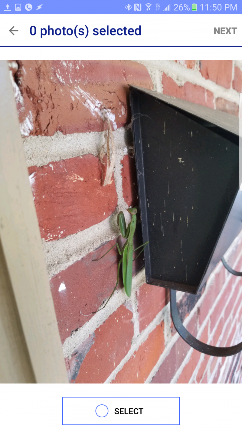 Epson Expression Home XP-430 Small-in-One review - The Gadgeteer