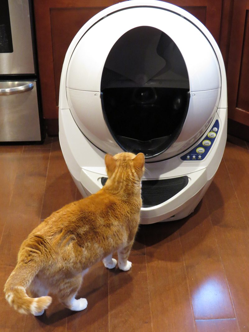 Litter-Robot Open Air litter box review - The Gadgeteer