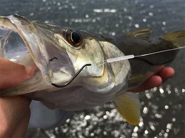 Make fishing line knot tying a thing of the past with the LineWelder ...