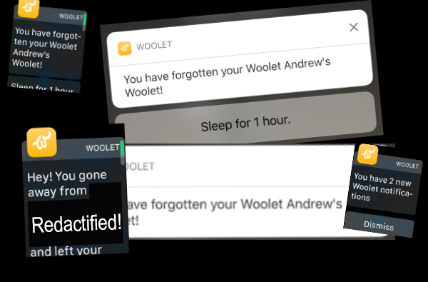 Woolet 2.0 wallet review - The Gadgeteer