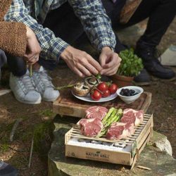Can this cardboard box grill your next steak? - The Gadgeteer