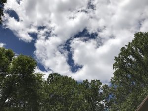 Plotagraph iOS image animation app review - The Gadgeteer