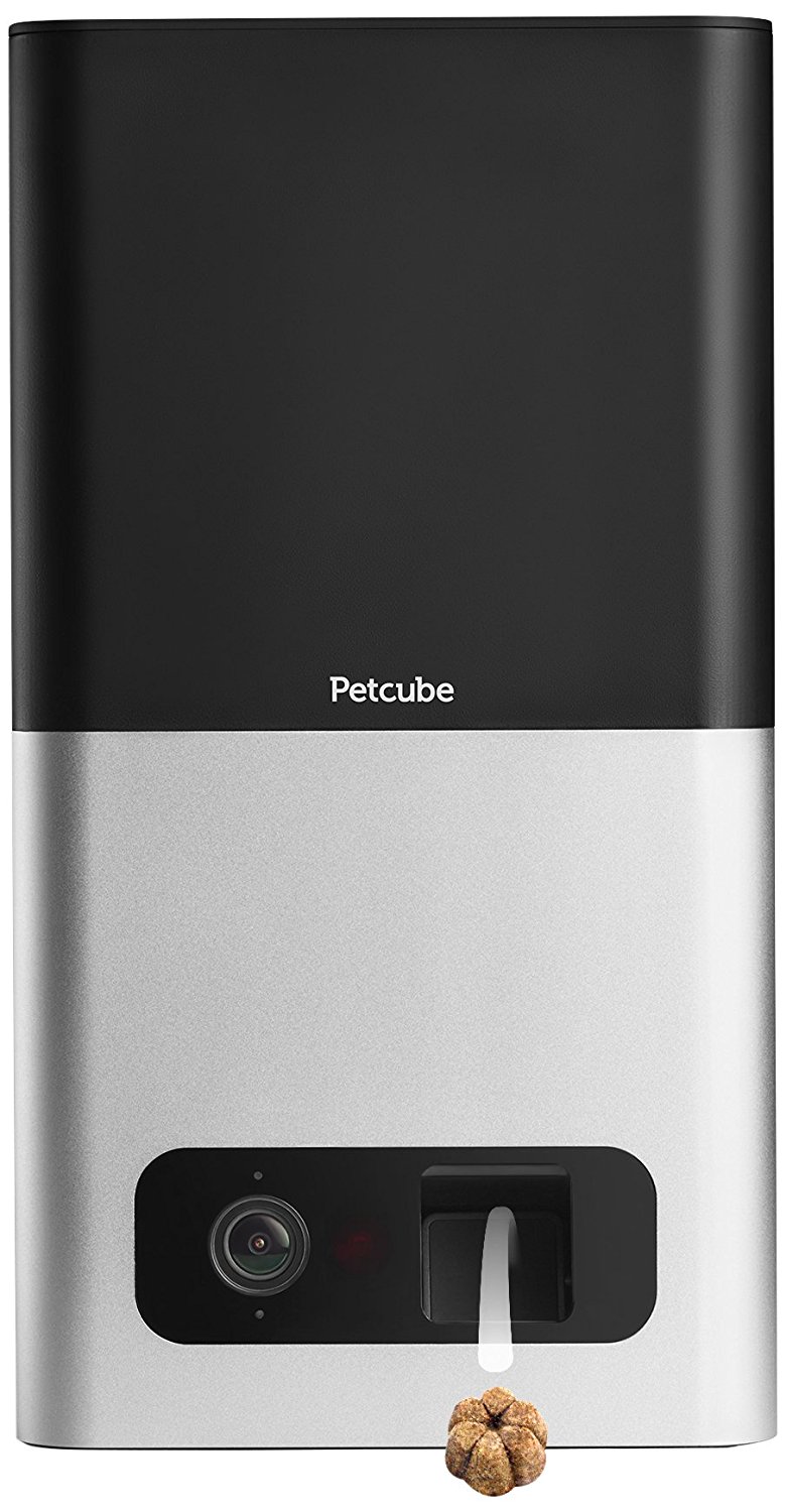 Petcube now allows long-distance relationships with our pets - The ...