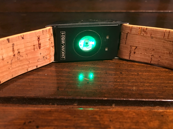 WellBe Stress Management Bracelet review - The Gadgeteer