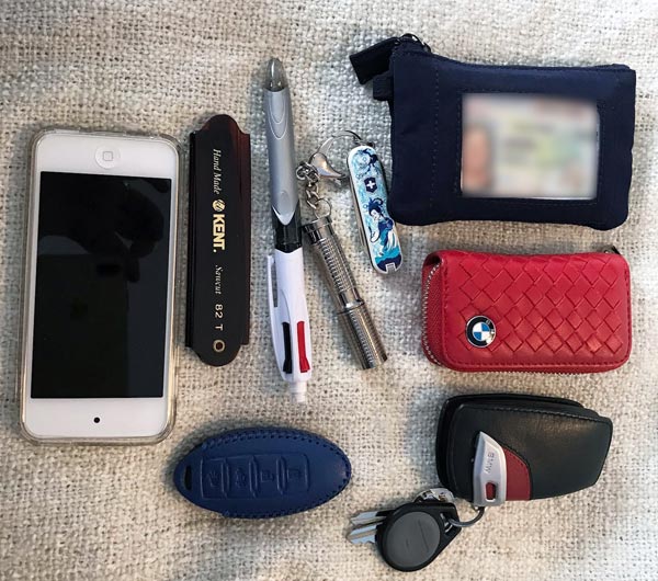 Sena Cases Isa Crossbody Leather Hand Bag for smartphones review - The ...