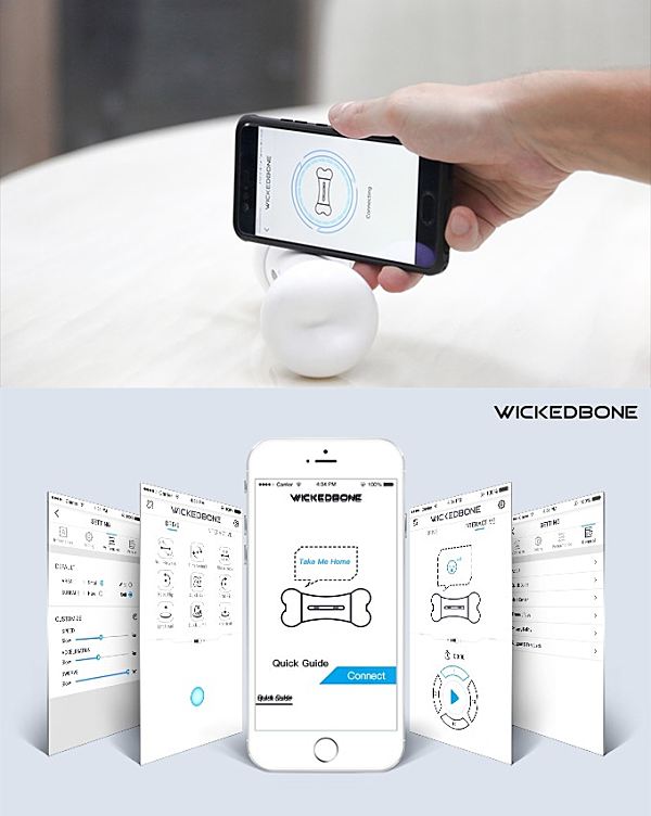 Wickedbone is the smart cure for your dogs boredom - The Gadgeteer