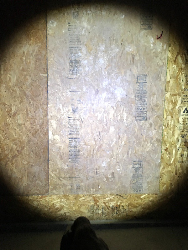 Renogy Outdoor Tactical Flashlight review - The Gadgeteer