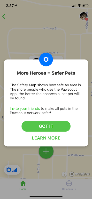 Pawscout Pet Tag review - The Gadgeteer