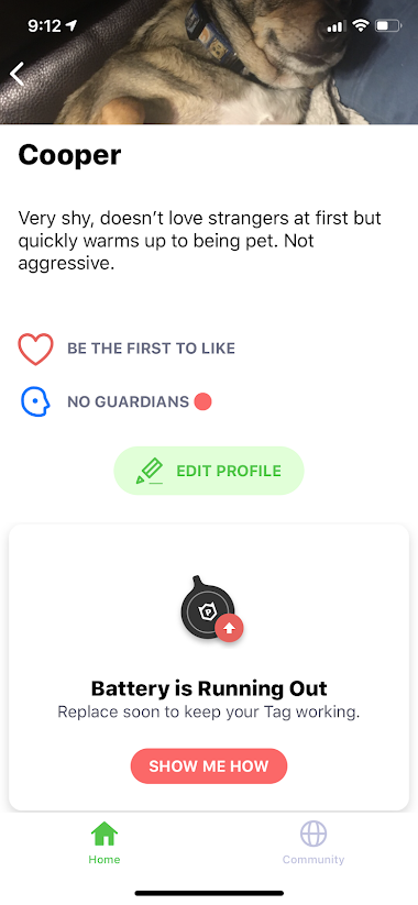 Pawscout Pet Tag review - The Gadgeteer