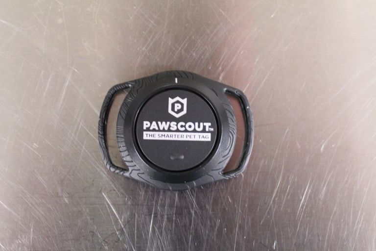 Pawscout Pet Tag review - The Gadgeteer