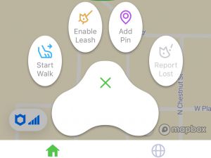 Pawscout Pet Tag review - The Gadgeteer