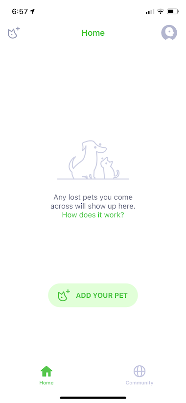 Pawscout Pet Tag review - The Gadgeteer