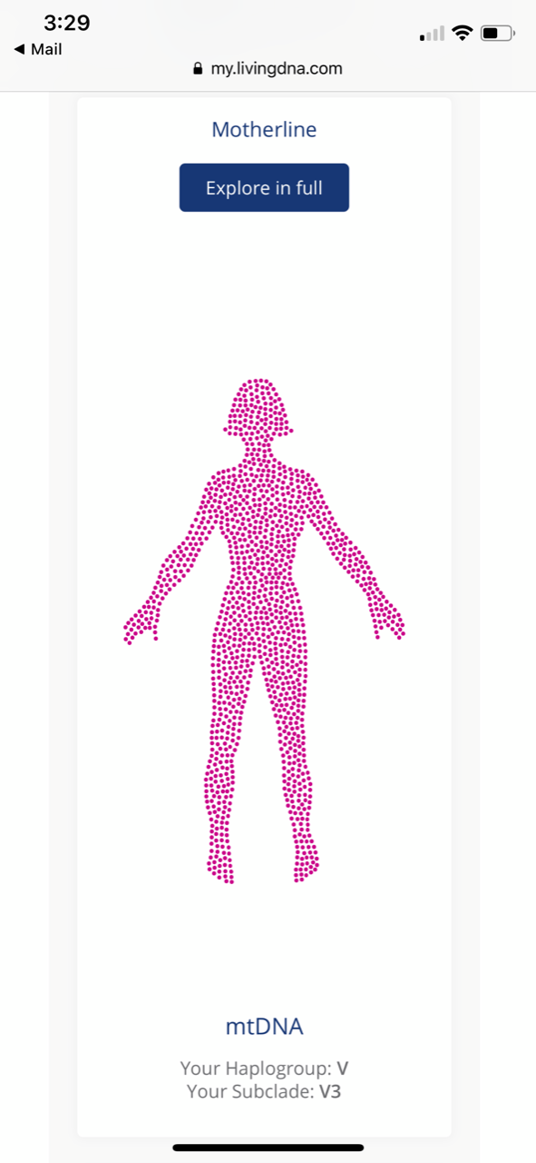 Living DNA Kit review - The Gadgeteer