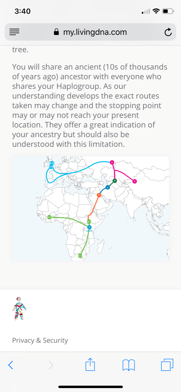 Living DNA Kit review - The Gadgeteer