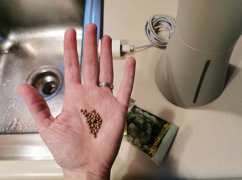 Botanium Hydroponic and Automatic Indoor Gardening Pot review - The ...