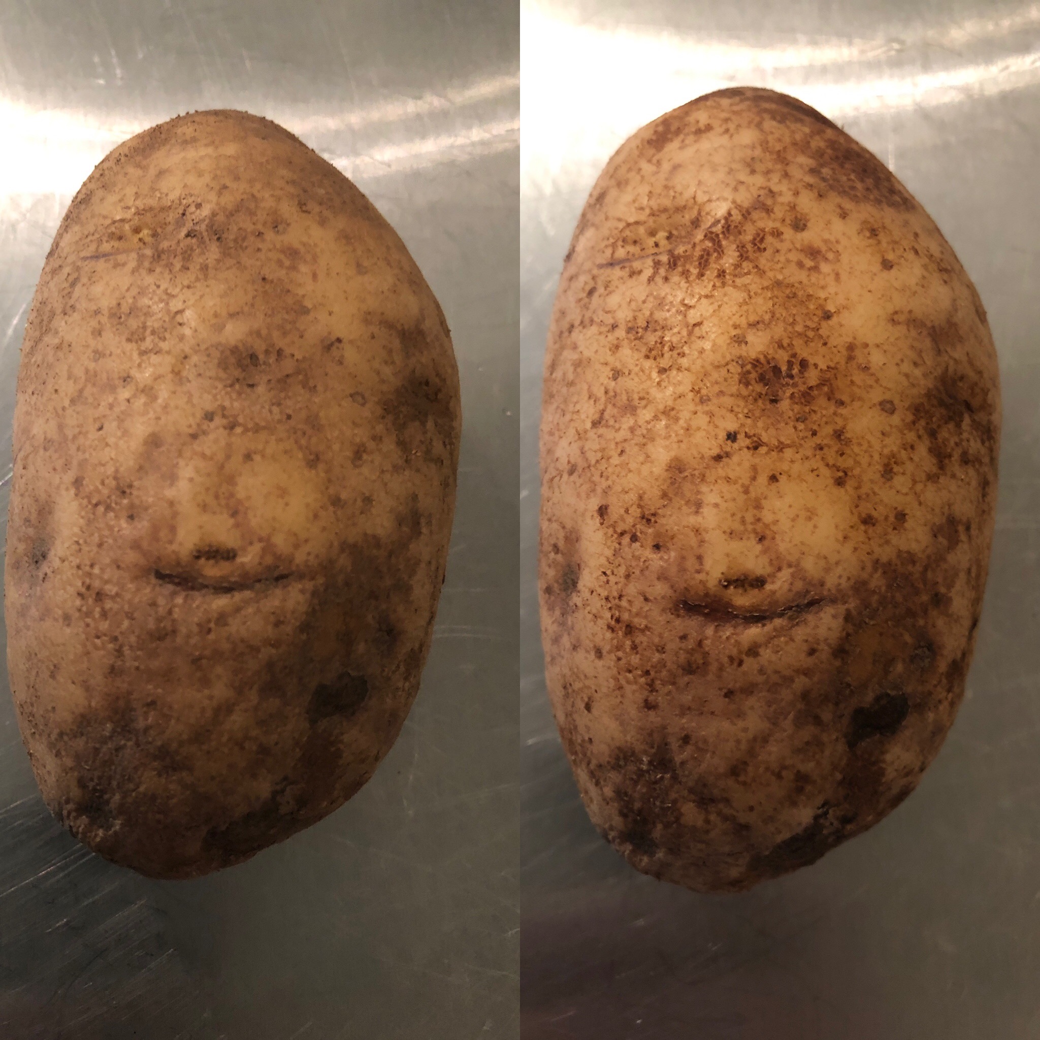 Sonic Soak Ultrasonic Cleaner review - The Gadgeteer