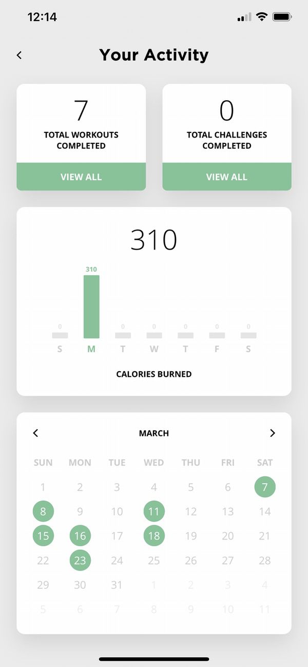 Crossrope Weighted Jump Ropes review - The Gadgeteer