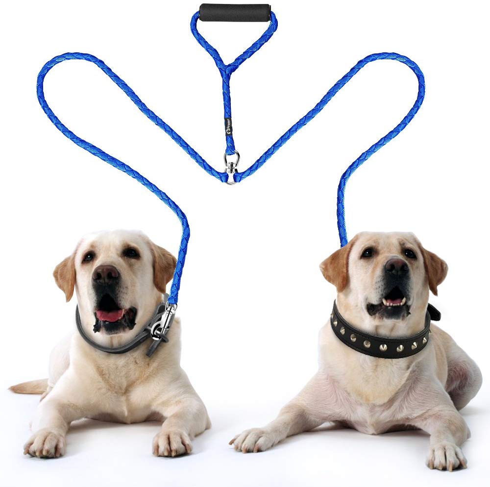 Double leash is handy for two-dog families but not all pups - The Gadgeteer