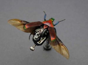 Insect Lab uses real insects in their steampunk bug sculptures - The ...