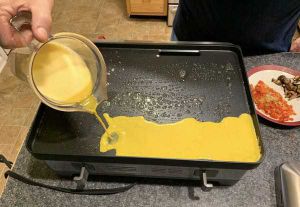 Wolf Gourmet Precision Electric Griddle review - The Gadgeteer