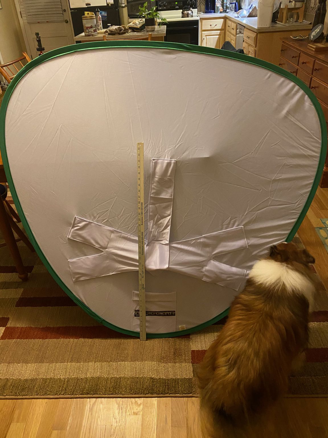 Gig Gear Cam-a-lot chair-mounted green screen background review - The ...