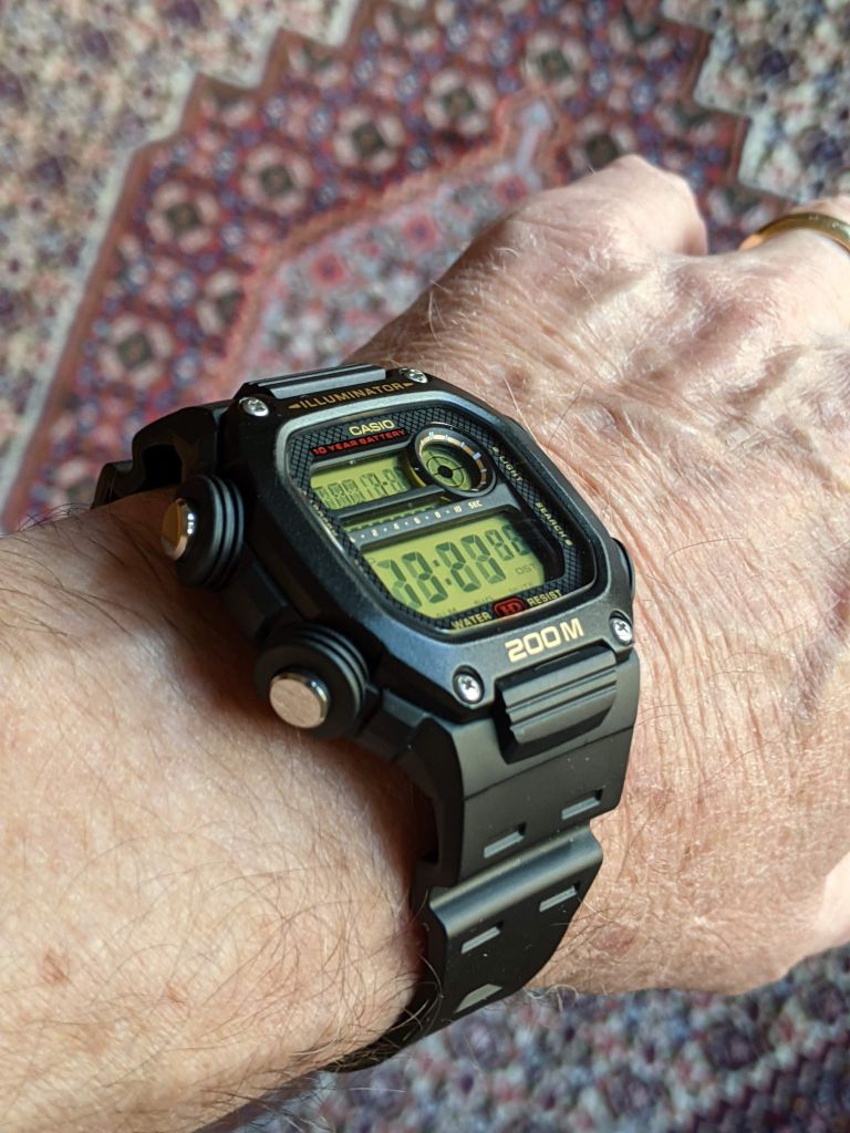 Casio DW291H heavy duty digital watch review - The Gadgeteer