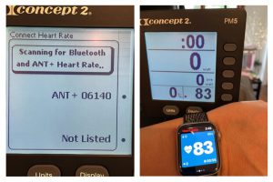 Function101 Heartsync for Apple Watch Review - The Gadgeteer