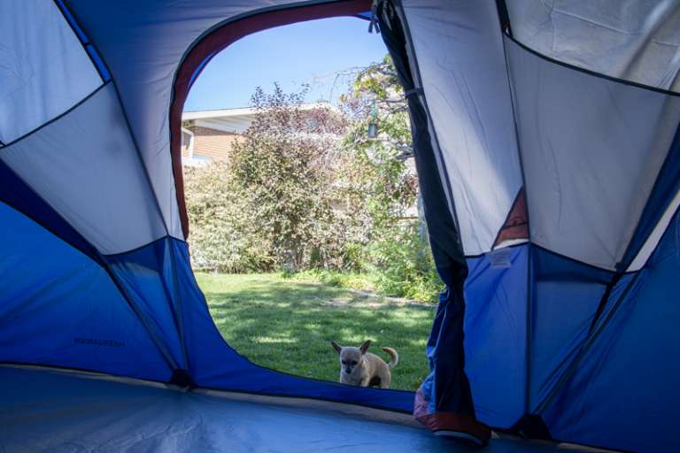 Hiker Garden 10 person tent review - spacious and sturdy all weather ...