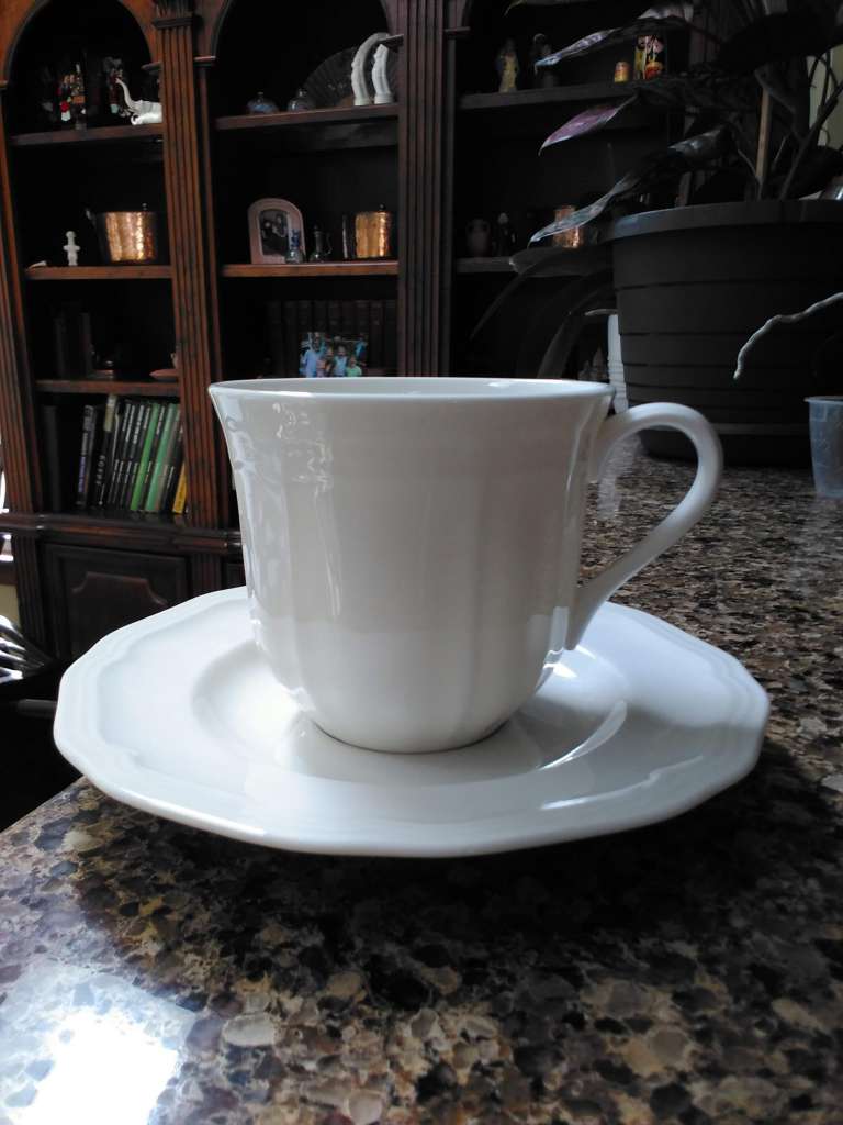 CAT S22 Flip smartphone review - Chunky but not clunky - The Gadgeteer