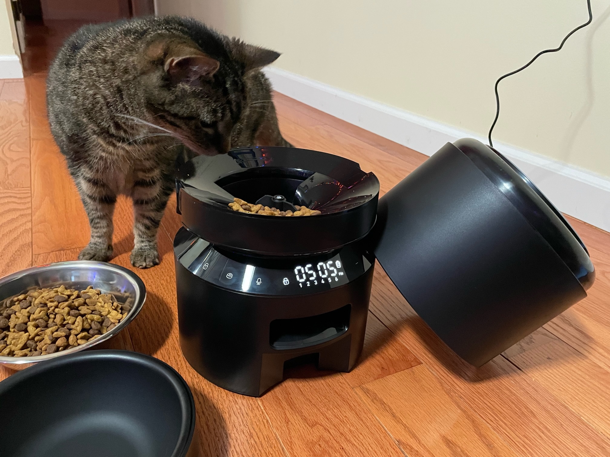 Petlibro Granary Automatic Pet Feeder review - Gadgetry for your fur ...