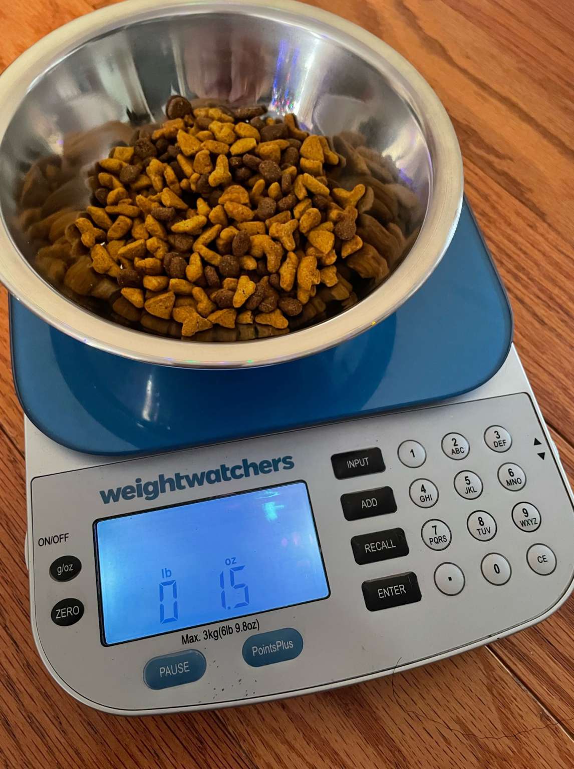 Petlibro Granary Automatic Pet Feeder review - Gadgetry for your fur ...