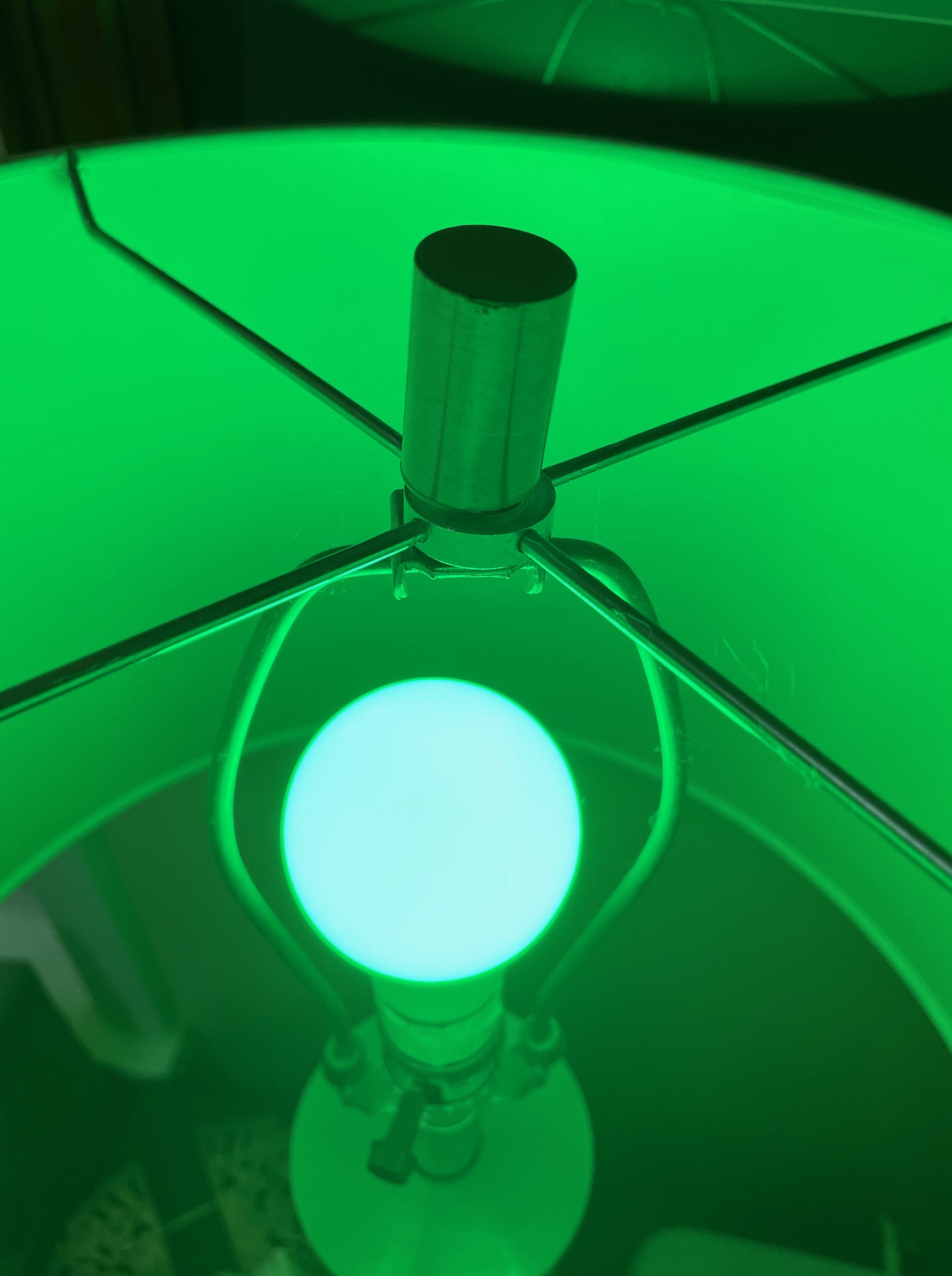 Switchbot Color Changing Lightbulbs review - Festive and fun lighting ...