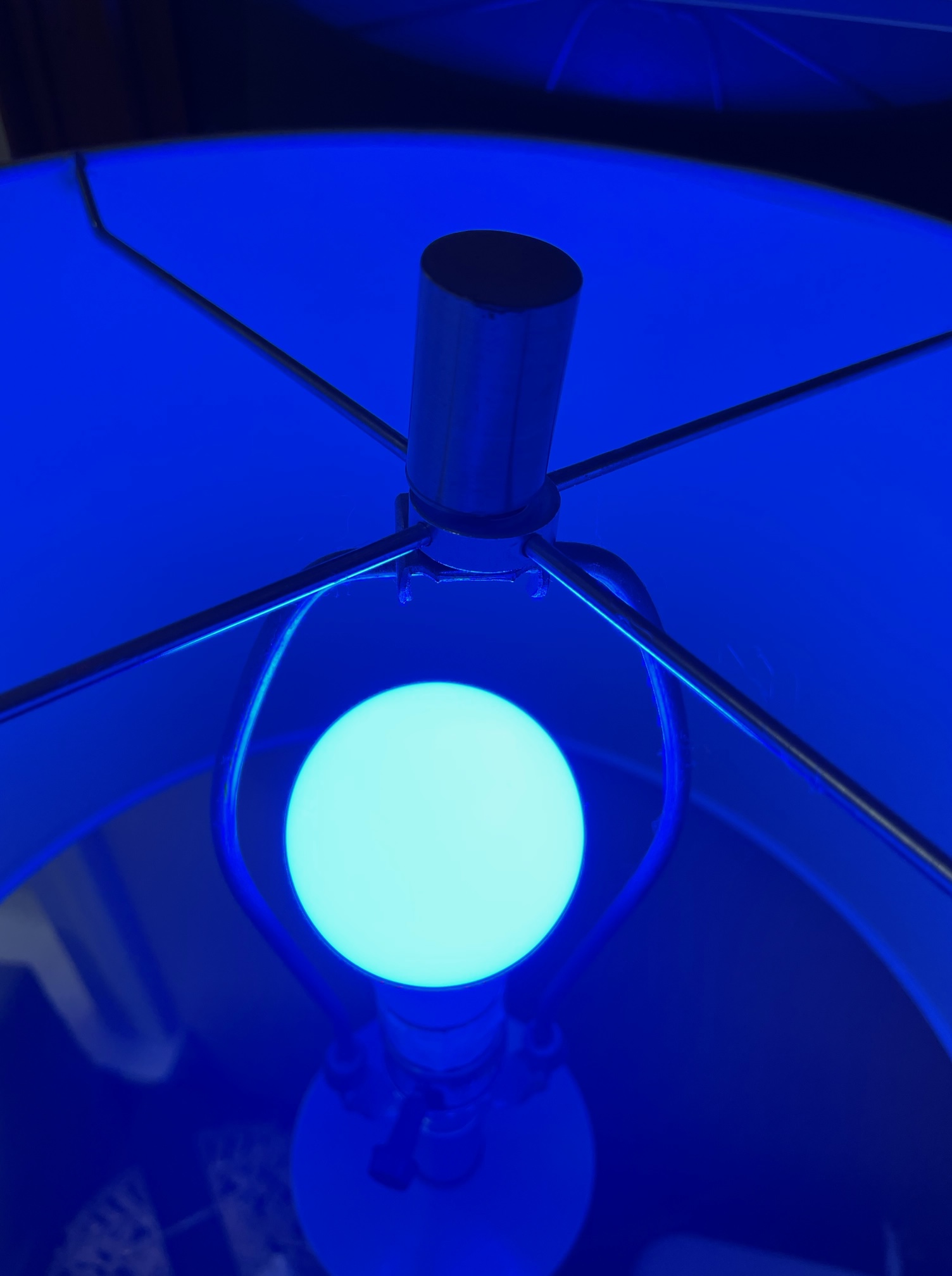 Switchbot Color Changing Lightbulbs review - Festive and fun lighting ...