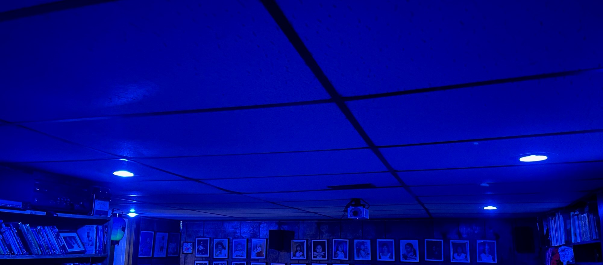 Switchbot Color Changing Lightbulbs review - Festive and fun lighting ...