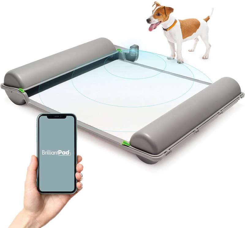 Here's the equivalent of a smart litter box but for dogs! - The Gadgeteer