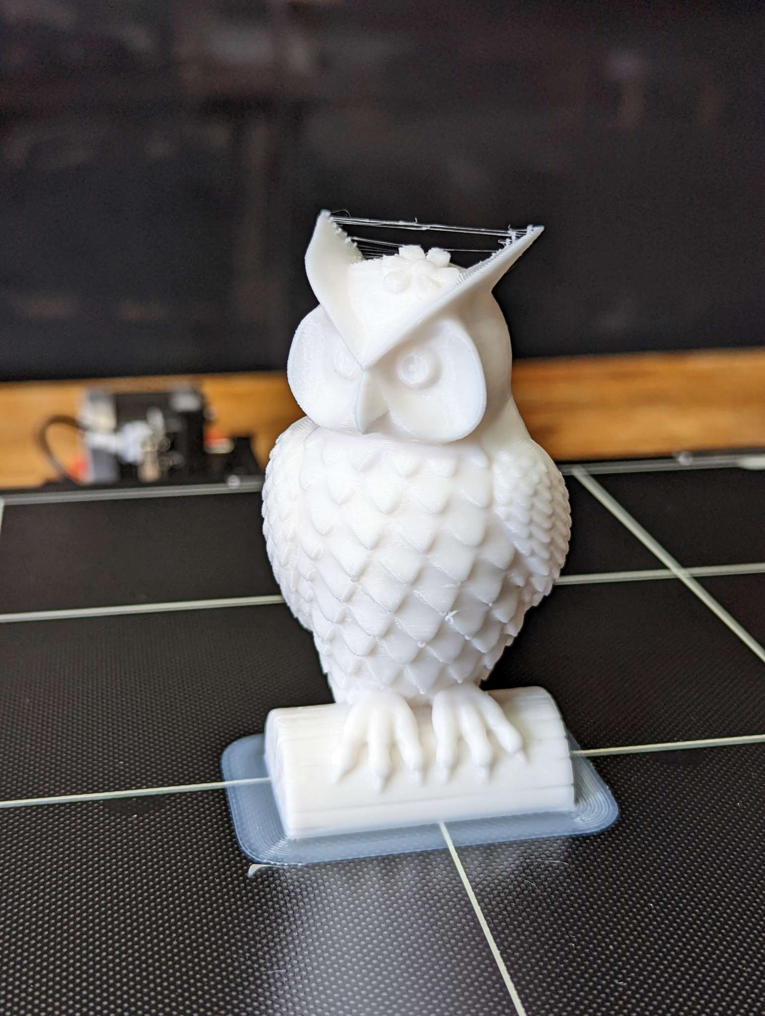 ANYCUBIC Kobra Plus 3D filament printer review - I like big prints and ...