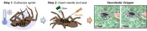 Necrobotics - Yep, it's a thing - The Gadgeteer