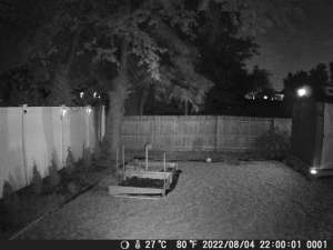 Coolife Hapimp 32MP Trail Camera review - The Gadgeteer