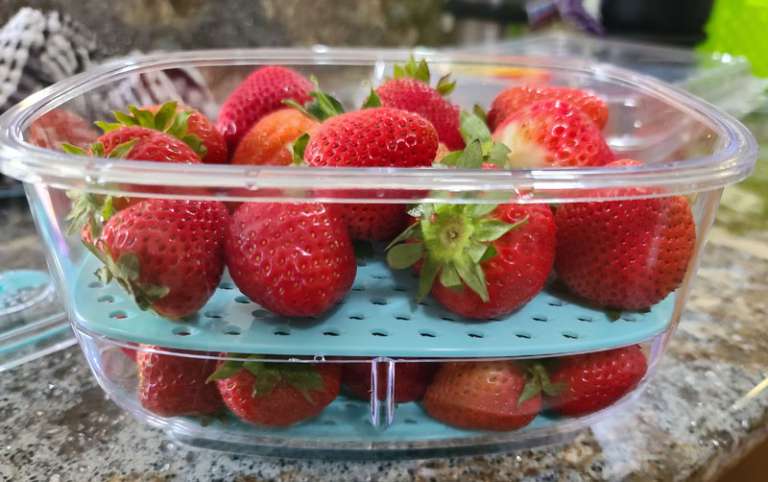 Luxear fresh food container set review - save your fresh food longer ...