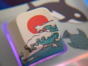 XVX M87 Coral Sea Themed Mechanical Keyboard review - looks great while ...