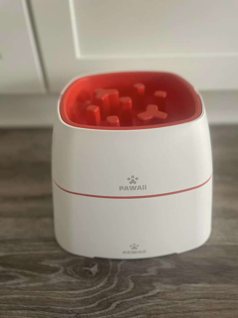 PAWAii Magic Bowl review - a multi-function elevated dog bowl - The ...