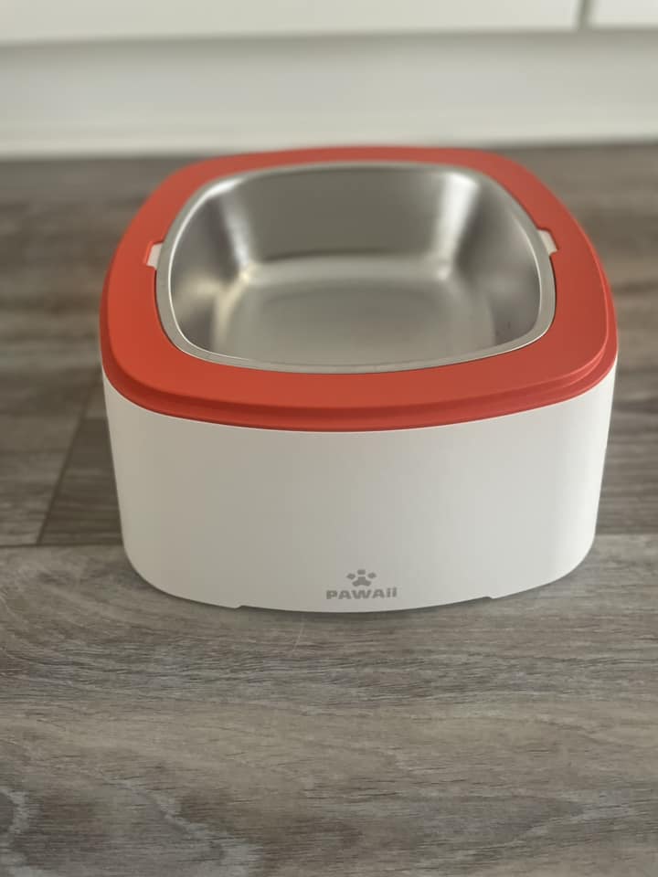 PAWAii Magic Bowl review - a multi-function elevated dog bowl - The ...